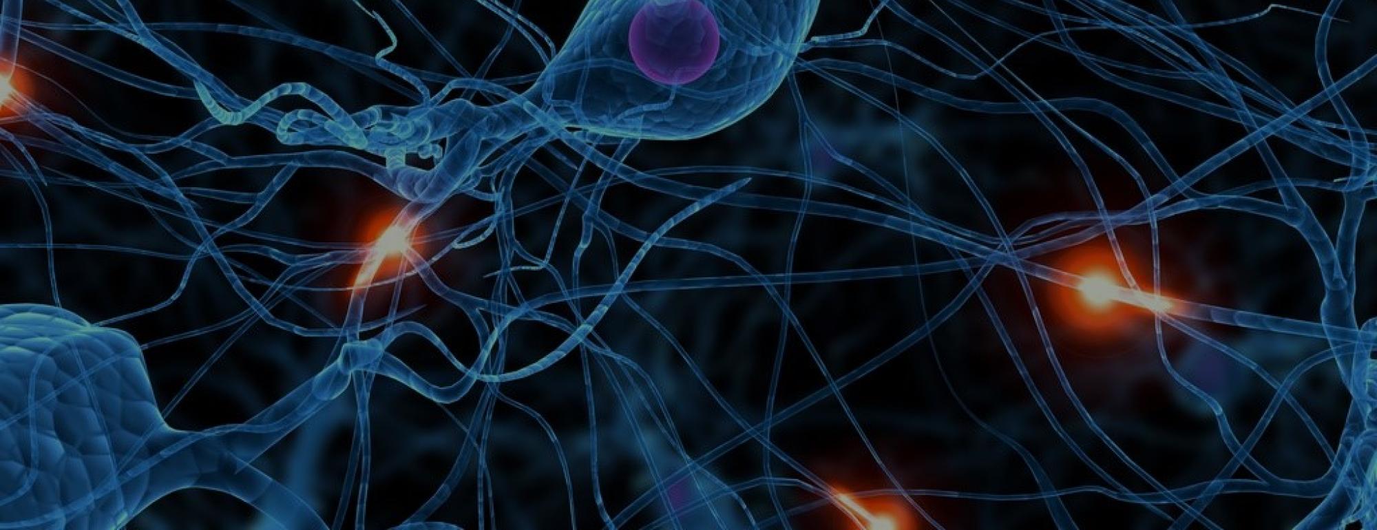 Neuroengineering at UC Davis Neuroengineering at UC Davis